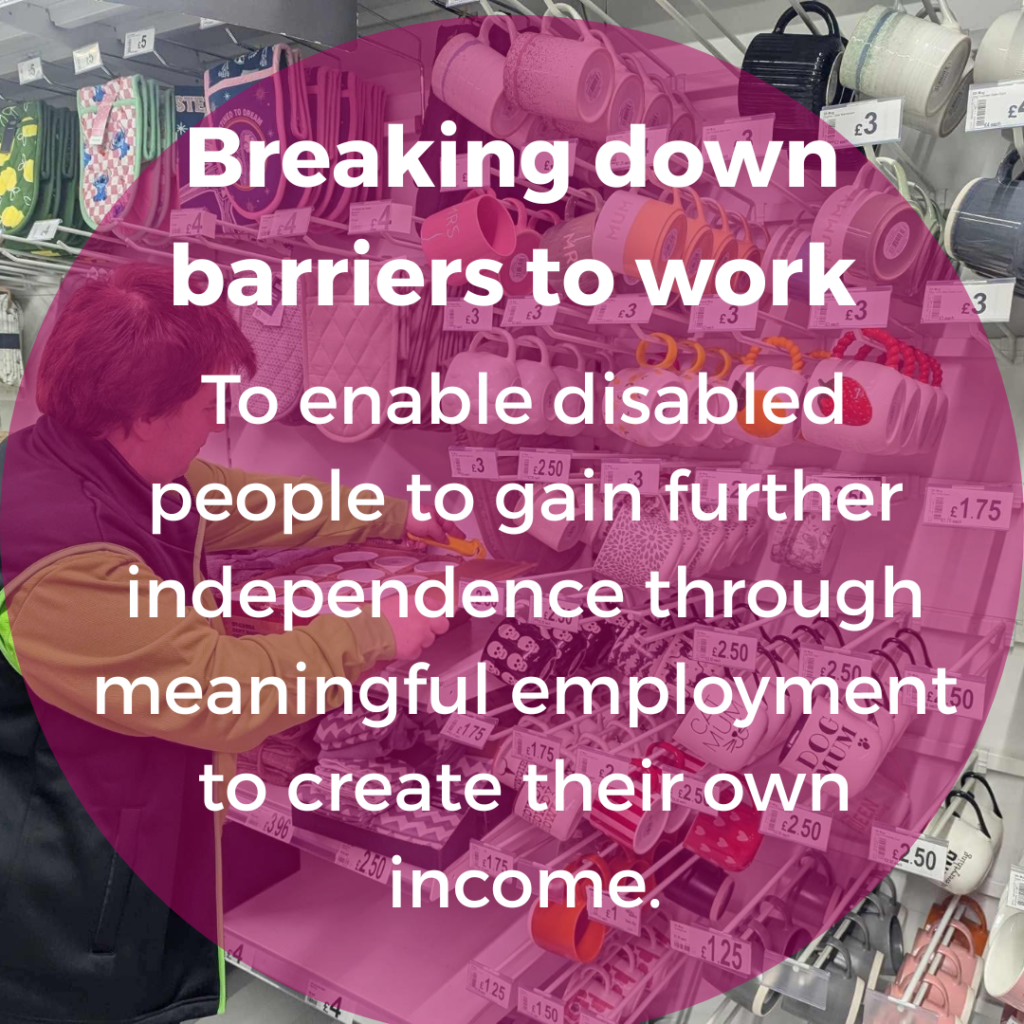 SAMEE Charity - Work with disabled people on self-employment